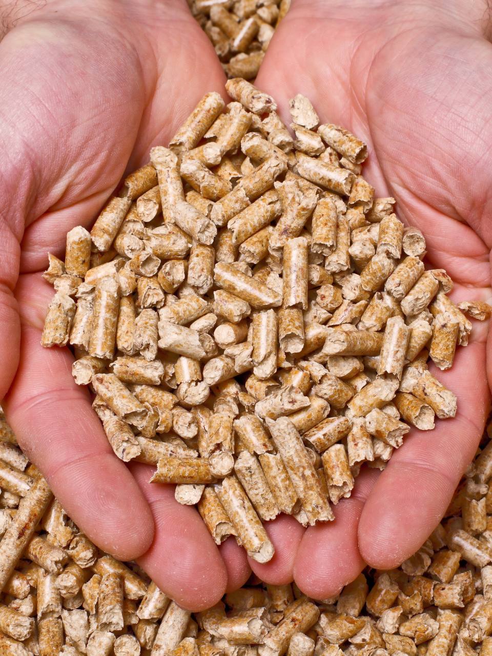 Pellet - Thermo Aquecimento - 15 Anos